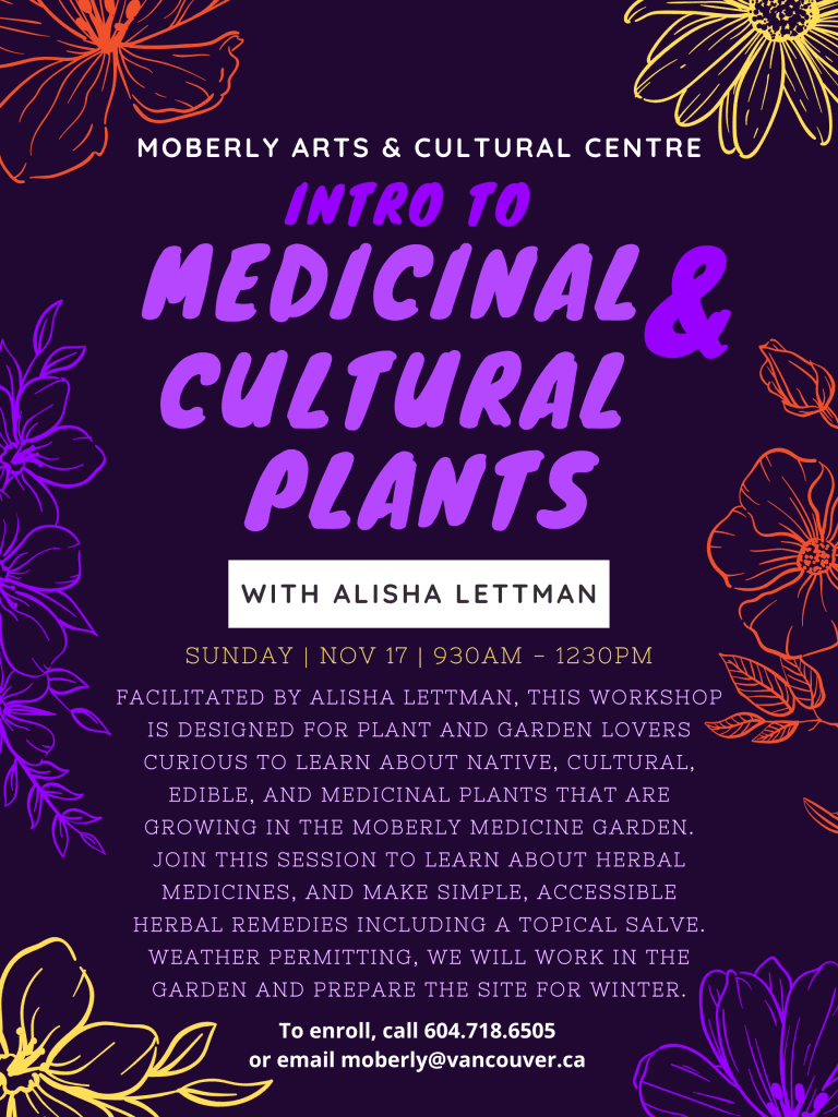 Intro to Medicinal & Cultural Plants with Alisha Lettman | Moberly Arts ...